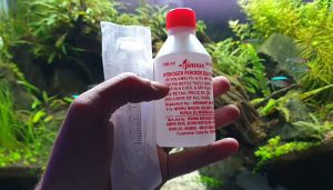 Black Spots On Fish Tank Glass (3 Causes & Prevention)