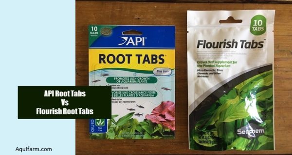 API Root Tabs Vs Flourish Root Tabs: Which One To Choose
