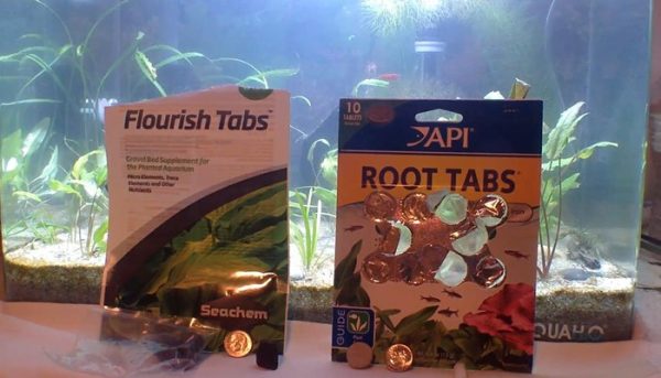 API Root Tabs Vs Flourish Root Tabs: Which One To Choose